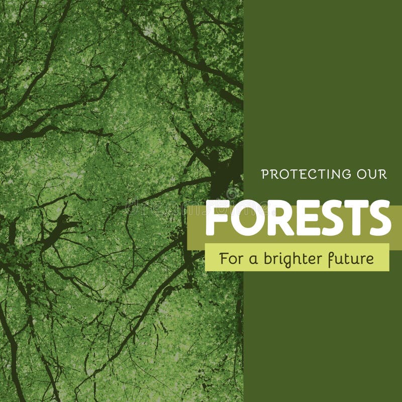 Composite of Protecting Our Forests for a Brighter Future Text Over ...