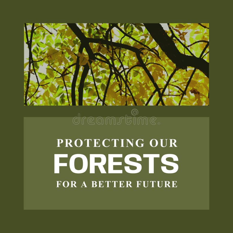 Composite of Protecting Our Forests for a Brighter Future Text Over ...