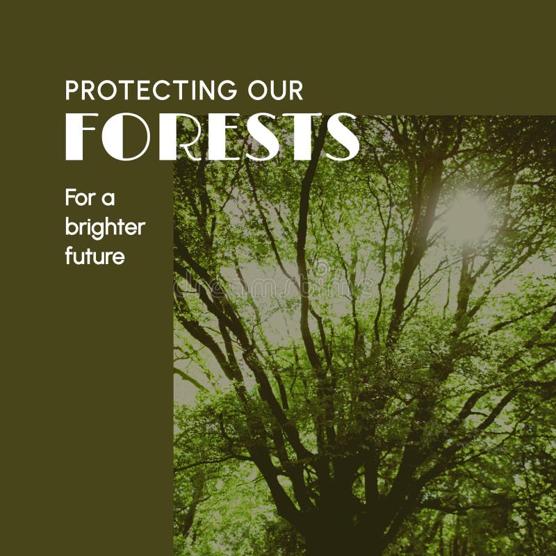 Composite of Protecting Our Forests for a Brighter Future Text, Sun ...