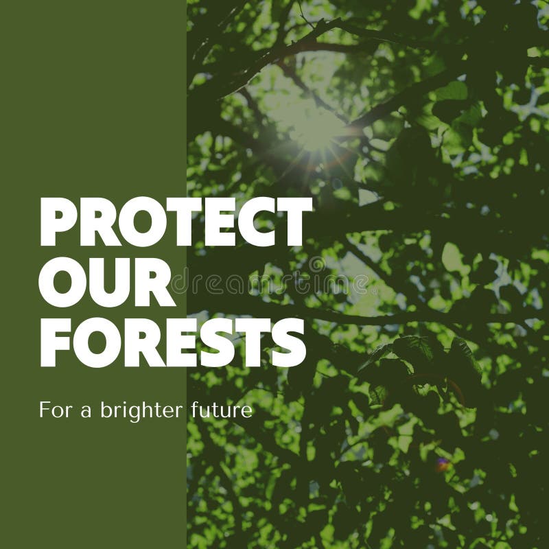 Composite of Protecting Our Forests for a Brighter Future Text, Sun ...