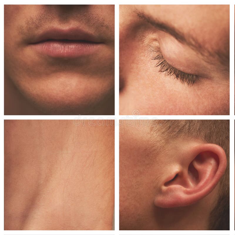 Make Use of Your Senses. Composite Shot of Different Parts of an ...