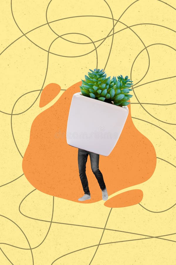 Composite Vertical Collage Image of Mini Legs Houseplant Isolated on ... Composite Vertical Collage Image of Mini Legs Houseplant Isolated on ...
