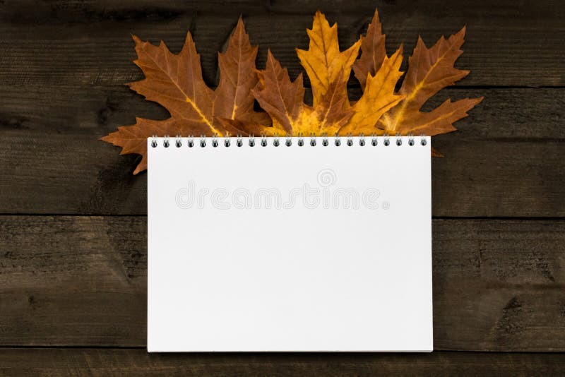 Composition with Autumn Leaves, Blank Notebooks on a Wooden Table Stock ...