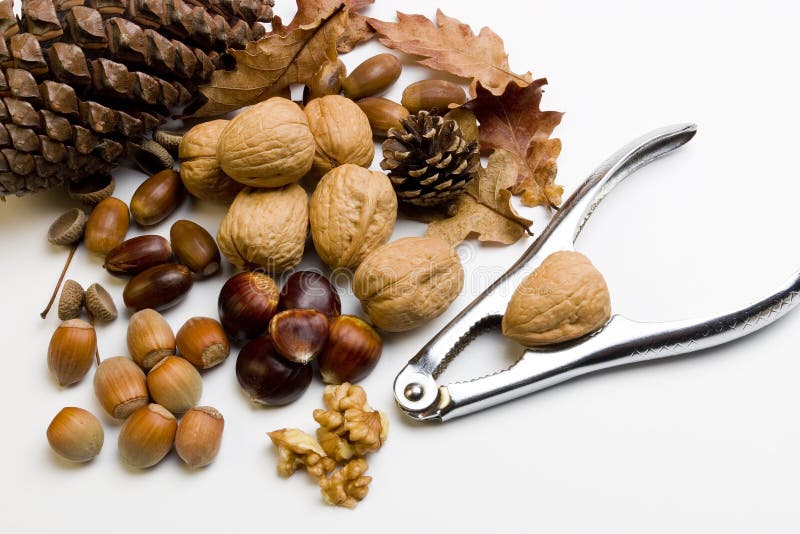 Composition with Autumnal Fruits and Nutcrackers Stock Image - Image of ...