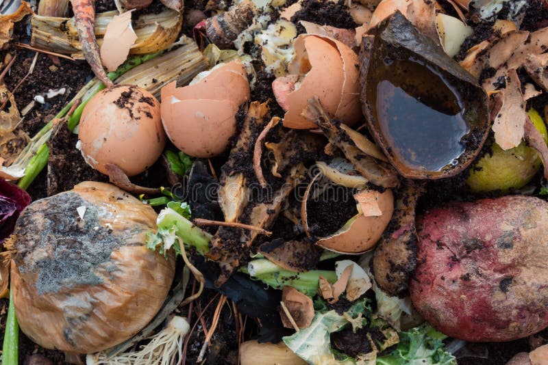 Compost Heap with Rotting Fruit, Vegetable, and Eggshell Scraps Stock ...