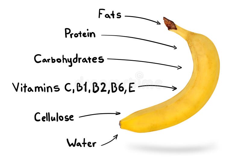 Composition of Banana Fruit on Chemical Elements and Vitamins Stock ...