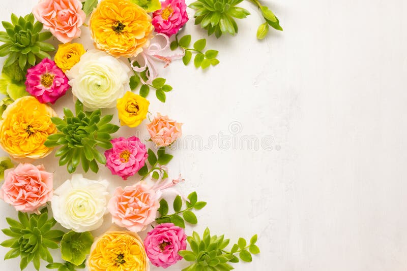 Composition of Beautiful Flowers, Succulents and Leaves on Light ...