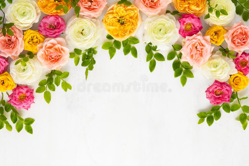 Composition of Beautiful Flowers, Succulents and Leaves on Light ...