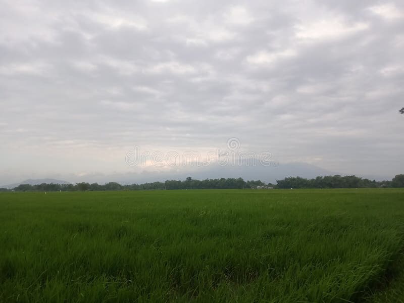 Landscape View of Green Plains and Sky Clouds Stock Image - Image of ...