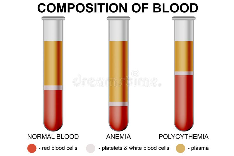 Composition of Blood Concept Isolated on White Background Stock ...
