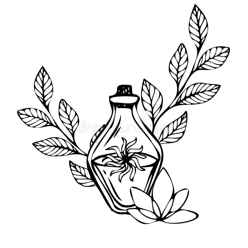 Composition from a Bottle with a Potion with Leaves and a Lotus Flower ...