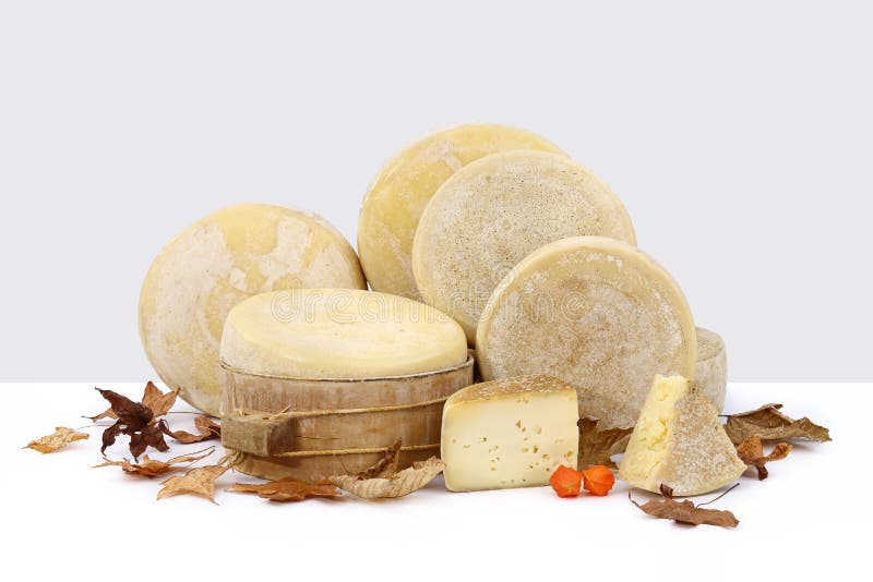 Composition of Cheeses on White Table with Autumn Leaves Stock Photo ...