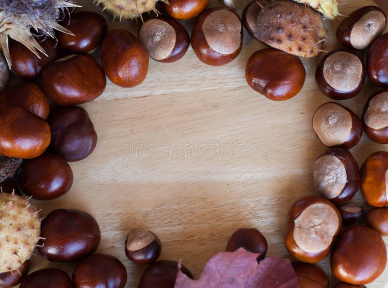 A Composition of Chestnuts and Cone and Leaves Stock Photo - Image of ...