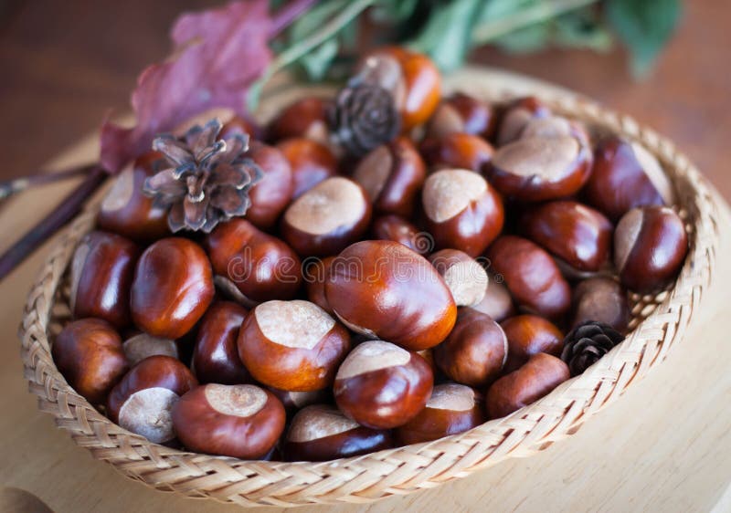 A Composition of Chestnuts and Cone and Leaves Stock Photo - Image of ...