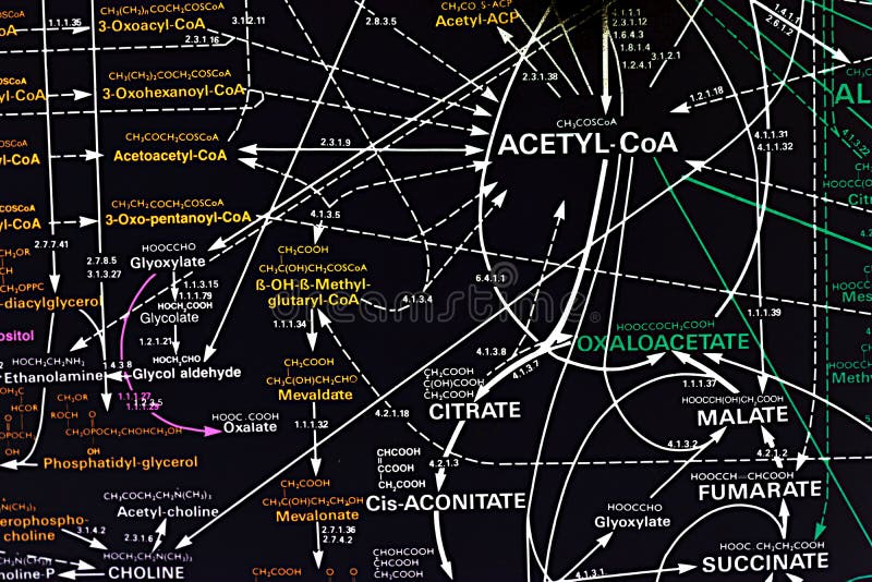 Composition chimique illustration stock. Illustration du chimique ...