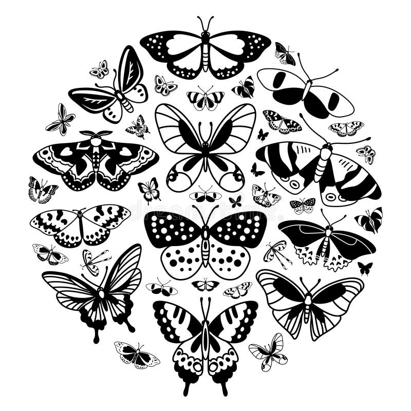 Composition in a Circle of Black and White Butterflies. Vector ...