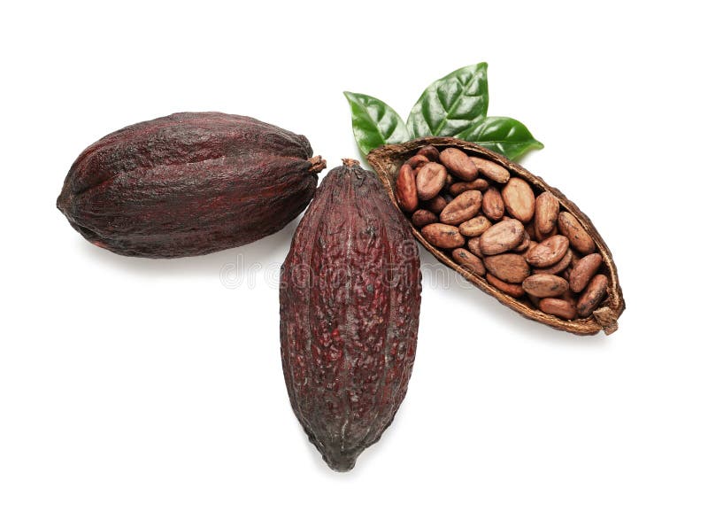 Composition with Cocoa Pods on White Background Stock Image - Image of ...