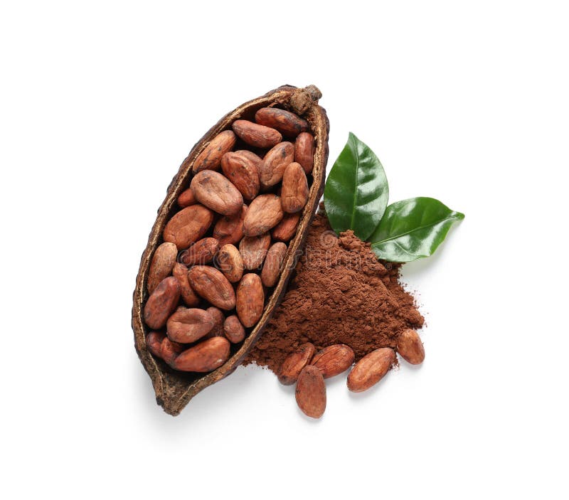 Composition with Cocoa Products on White Background Stock Image - Image ...