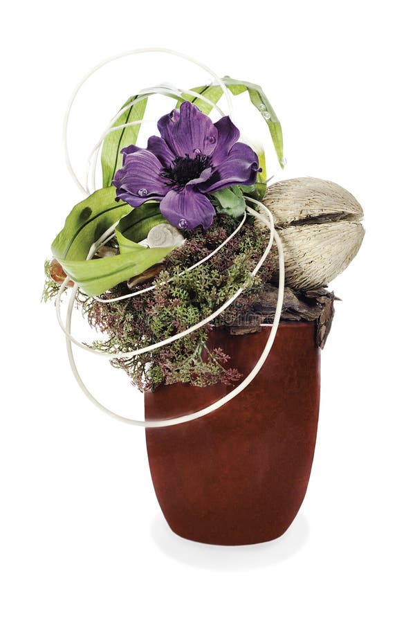 Composition from Coconut, Flower, Rocks and Vines Stock Photo - Image ...