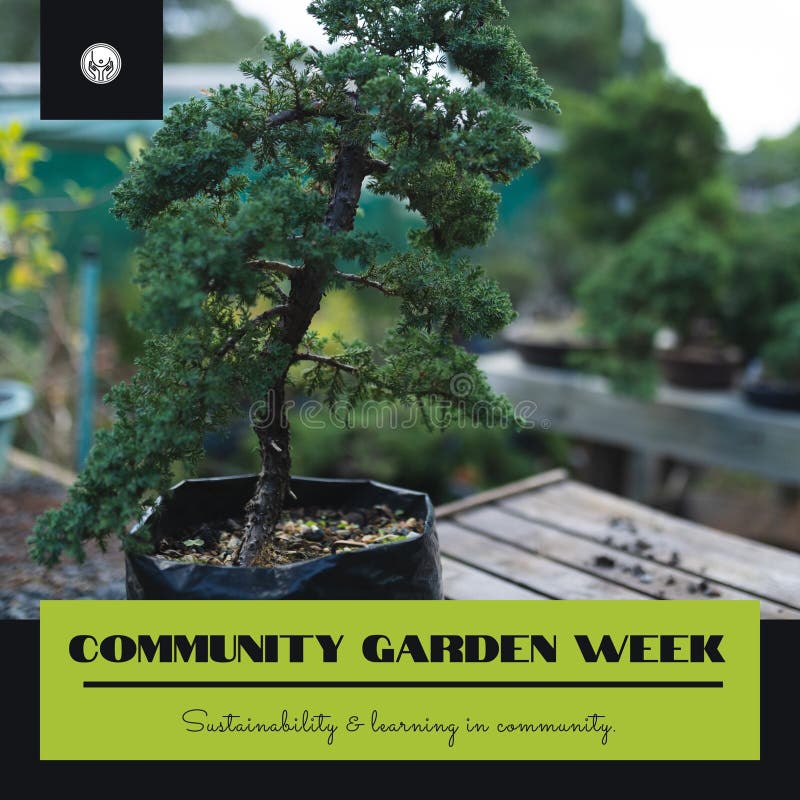 Composition of Community Garden Week Text Over Bonzai Tree Stock Photo ...
