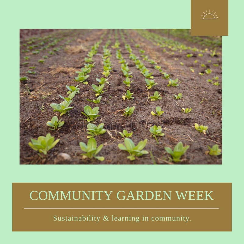 Composition of Community Garden Week Text Over Rows of Seedlings Stock ...