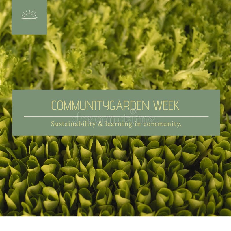 Composition of Community Garden Week Text Over Rows of Seedlings Stock ...