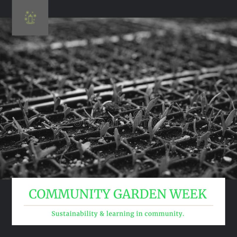 Composition of Community Garden Week Text Over Rows of Seedlings Stock ...