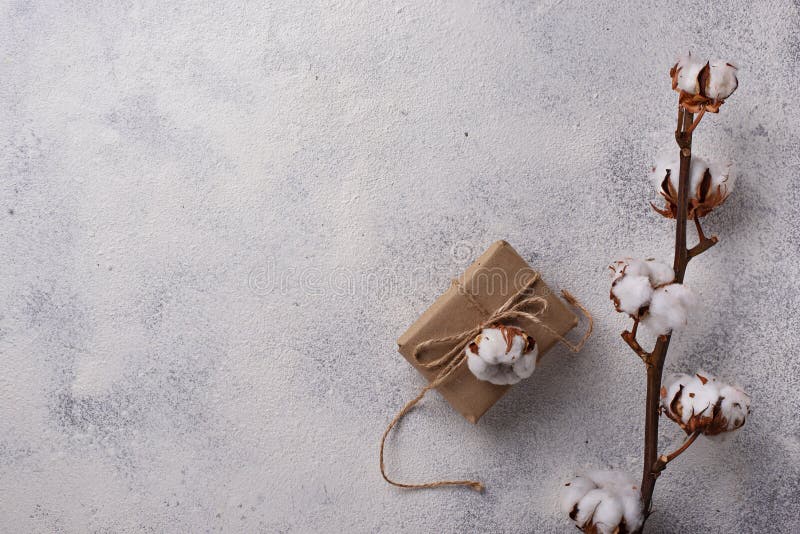 Composition with Cotton Branch and Gift Box Stock Image - Image of ...