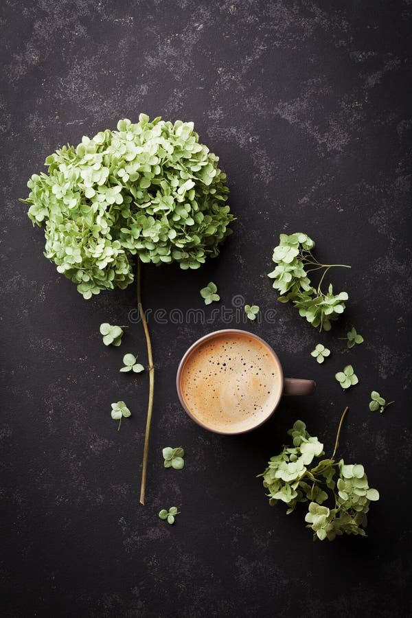 Composition with Cup of Coffee and Dried Flowers Hydrangea on Black ...