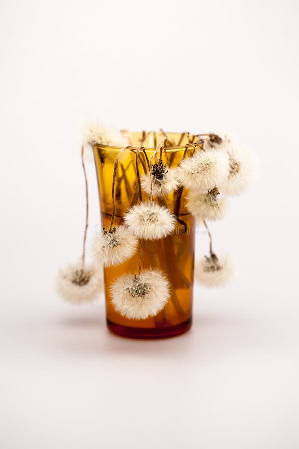 Composition with Dandelion Seeds and Small Glass Objects Stock Photo ...