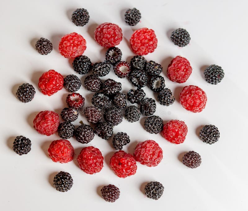 Composition De Framboise Noire Et Rouge Sur Fond Blanc Image stock ...