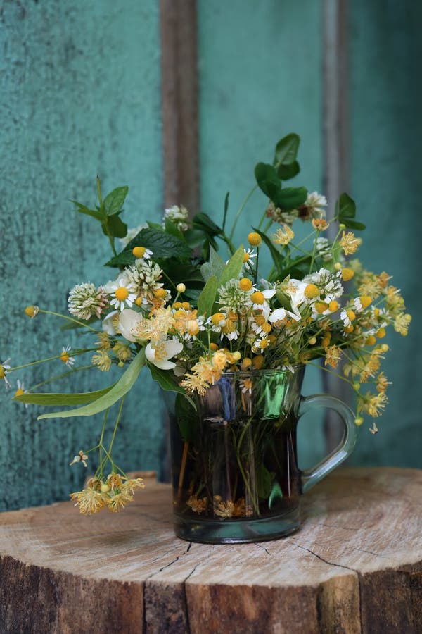 Composition with Different Fresh Herbs in Cup of Tea on Stump Near ...