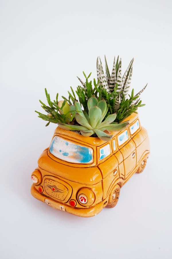 Composition of Different Types of Succulent Flower Planted in Orange ...