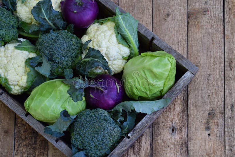 Composition from Different Varieties of Cabbage on Wooden Background ... Composition from Different Varieties of Cabbage on Wooden Background ...