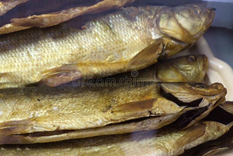 Composition of Dried and Smoked Fish . Stock Image - Image of grill ...