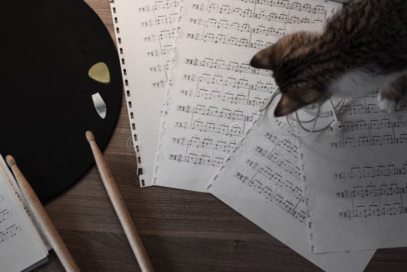 A Composition with Drumsticks, Musical Notes and a Cat. Animals and ...