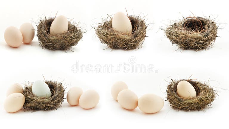 Composition with Empty Nest and Big Eggs Inside the Small Nests. Stock ...