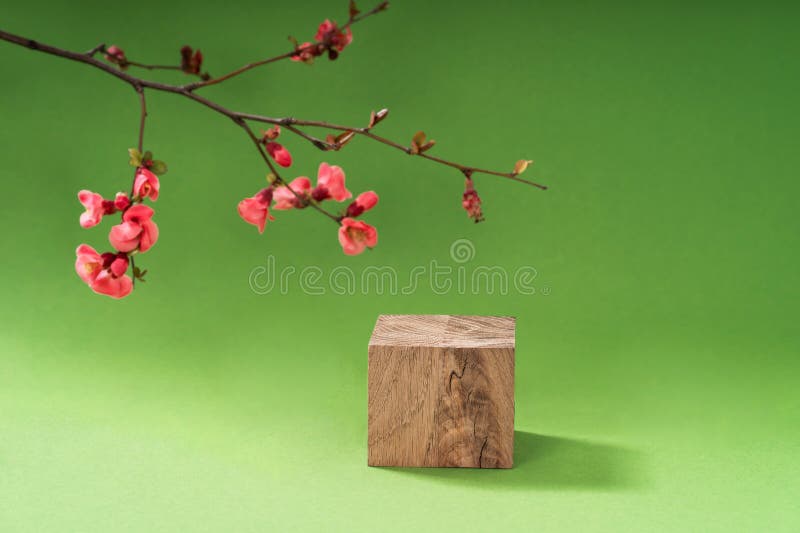 Composition Empty Podium Material Tree and Spring Flowers. Empty ...