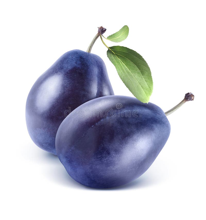 Composition En Deux Prunes D'isolement Sur Le Fond Blanc Image stock ...