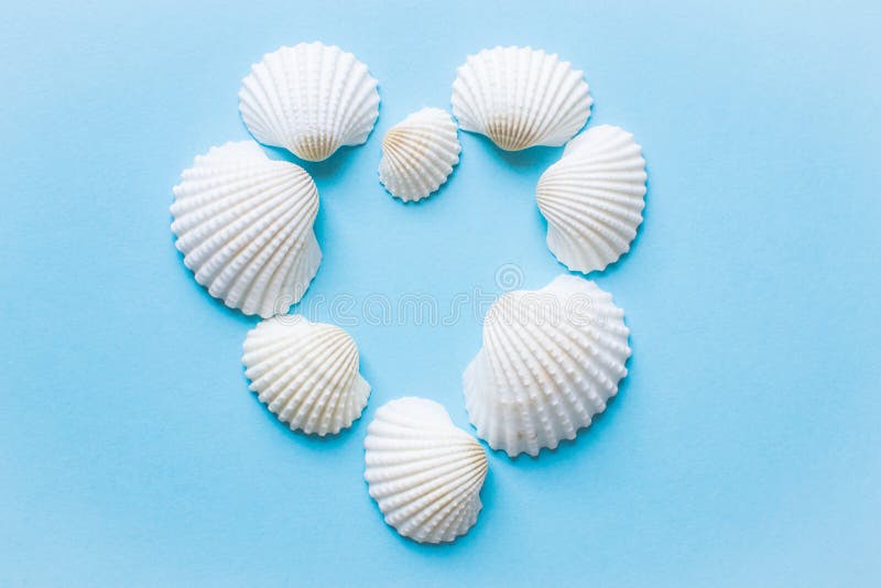 Composition Of Exotic Sea Shells On A Yellow And Blue Background ...