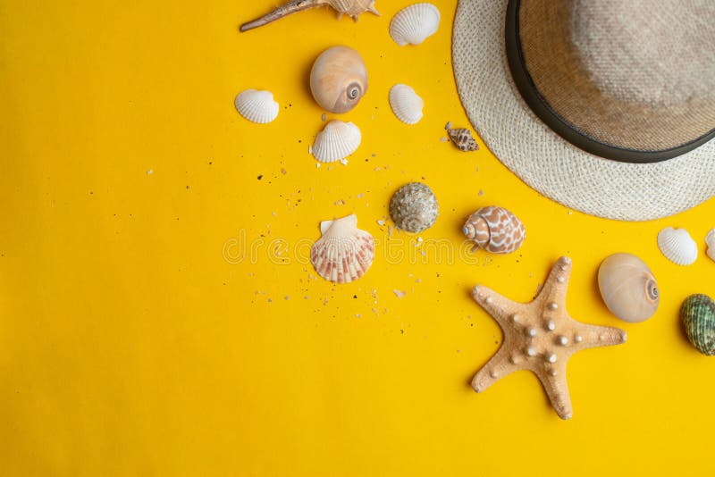 Composition of Exotic Sea Shells on a Yellow Background. Summer Concept ...