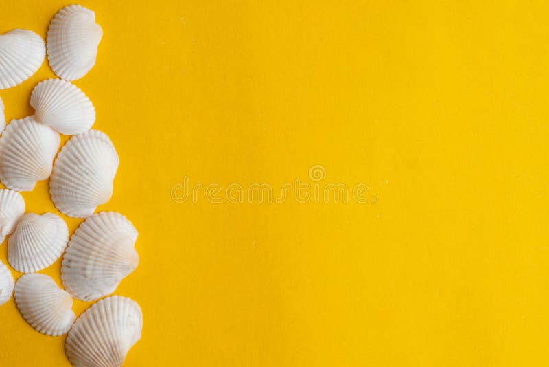 Composition of Exotic Sea Shells on a Yellow Background. Summer Concept ...