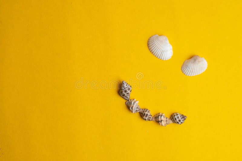 Composition of Exotic Sea Shells on a Yellow Background. Summer Concept ...