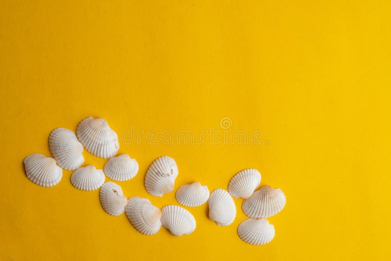 Composition of Exotic Sea Shells on a Yellow Background. Summer Concept ...