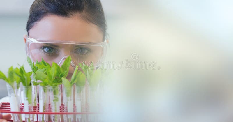 301 Composition Female Scientist Stock Photos - Free & Royalty-Free ...