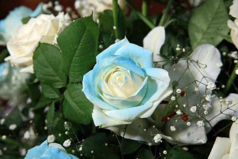 Composition of flowers stock image. Image of flowers - 26149715