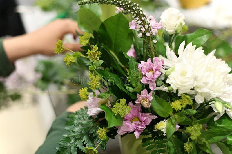 Composition from flowers stock image. Image of salol - 60214353