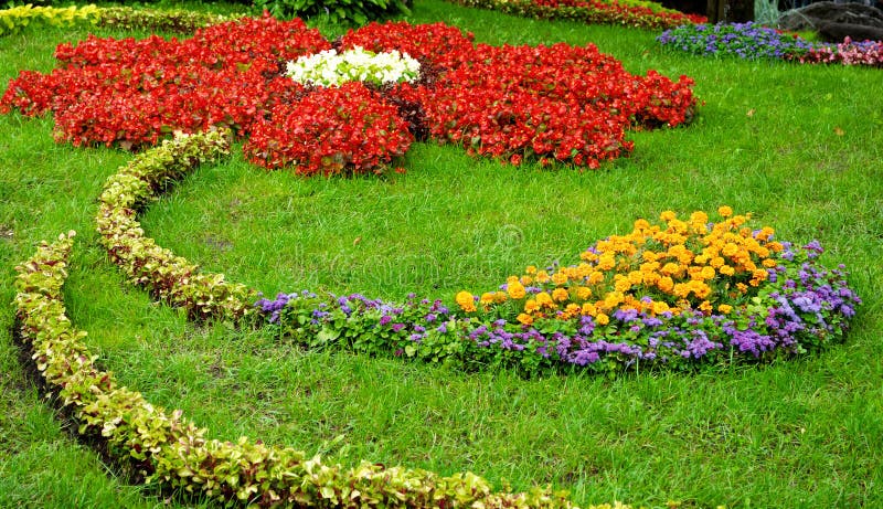 Composition of Flowers on Grass Stock Photo - Image of small, group ...