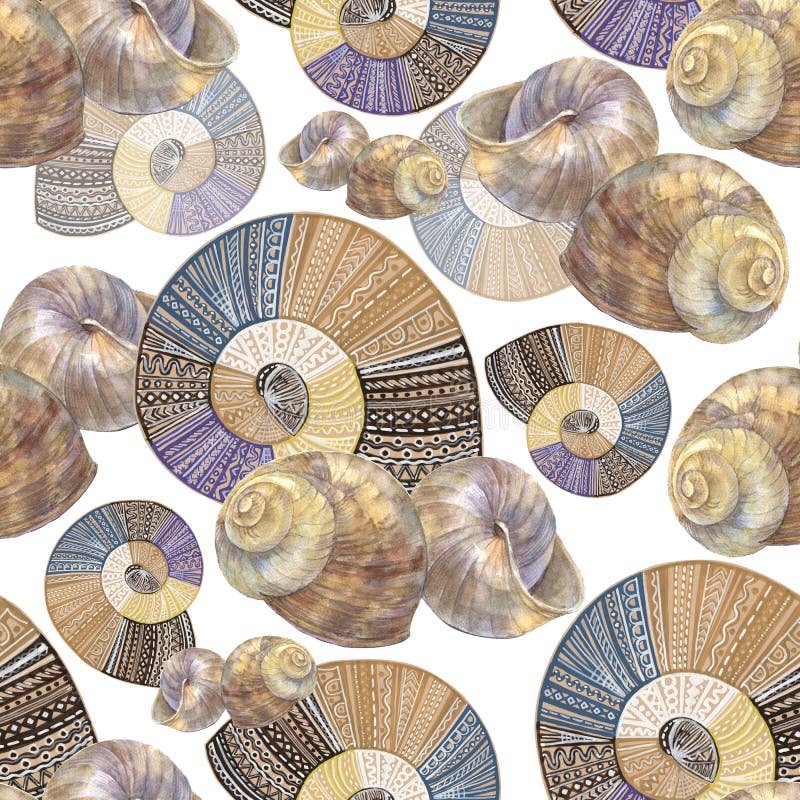 Composition from Forest Shell with Decorative Shell. Illustration for ...