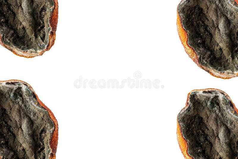 Composition from Fragments of Rotting Fruit on a Light Background. a ...